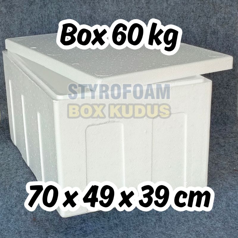 Box 60 kg - Styrofoam Box New Storage Packing Frozen Food Ice Cubes ...