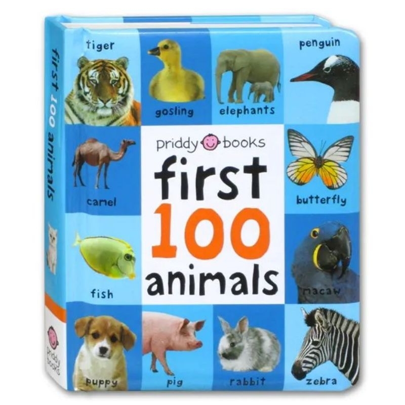 First 100 board Book (24 boards pages) | Shopee Malaysia