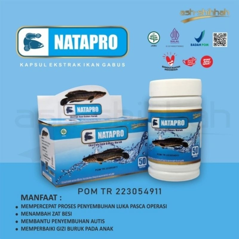 NATAPRO Snakehead Fish Extract Capsules Accelerate Body Tissue Recovery ...