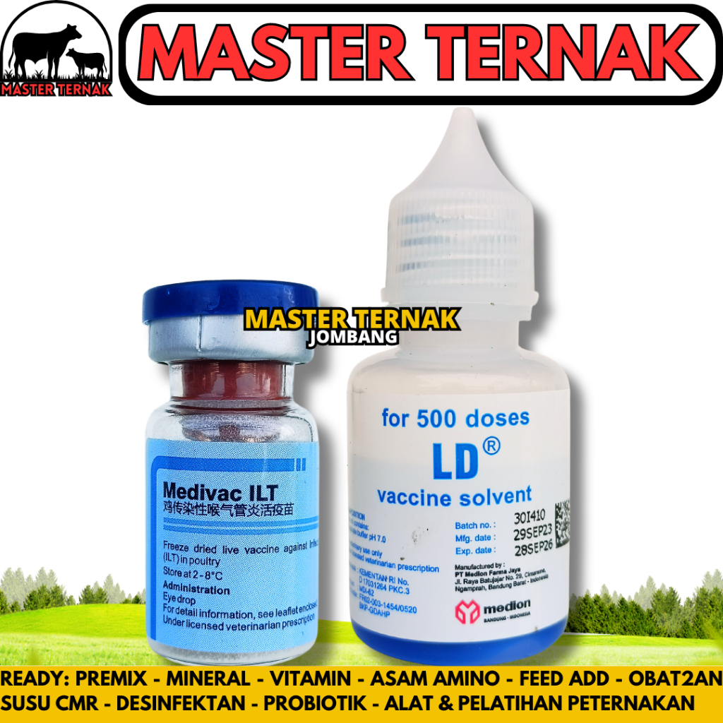 MEDIVAC ILLT VACCINE 500 DOSES - Active ILLT Vaccine for Acute ...