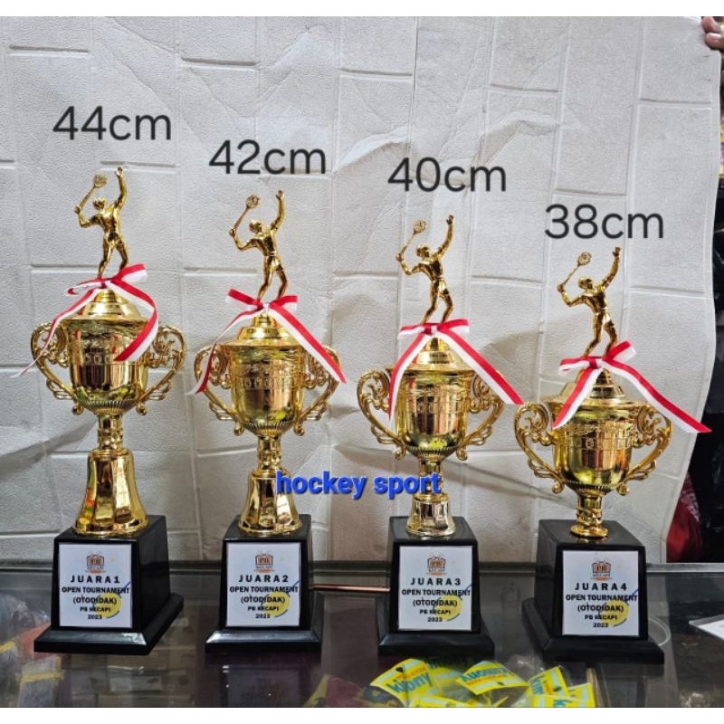 Badminton Trophy Badminton Trophy 1 Cup Only Custom Writing (B.07 ...