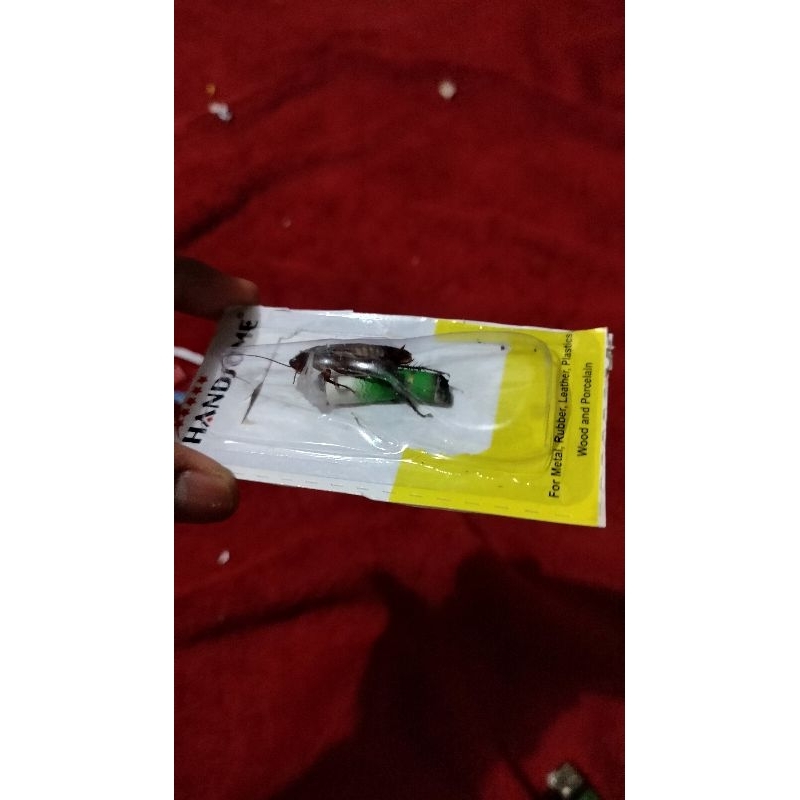 Original smoking cockroach display | Shopee Malaysia