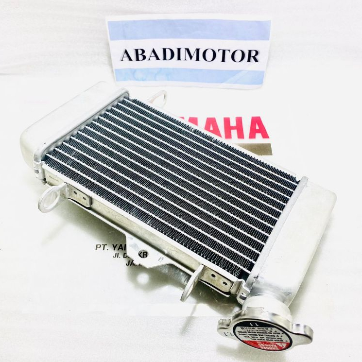 Radiator SET LID ASSY VIXION OLD NEW NVA NVL R15 MX OLD NEW MX KING 150 ...