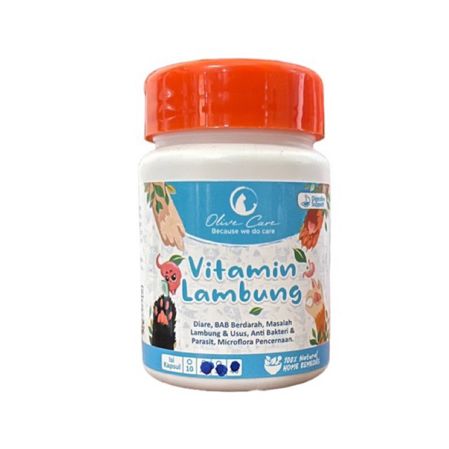 Olive Care GASTRIC Vitamins Digestive Problems Diarrhea Diarrhea Cat 10 ...