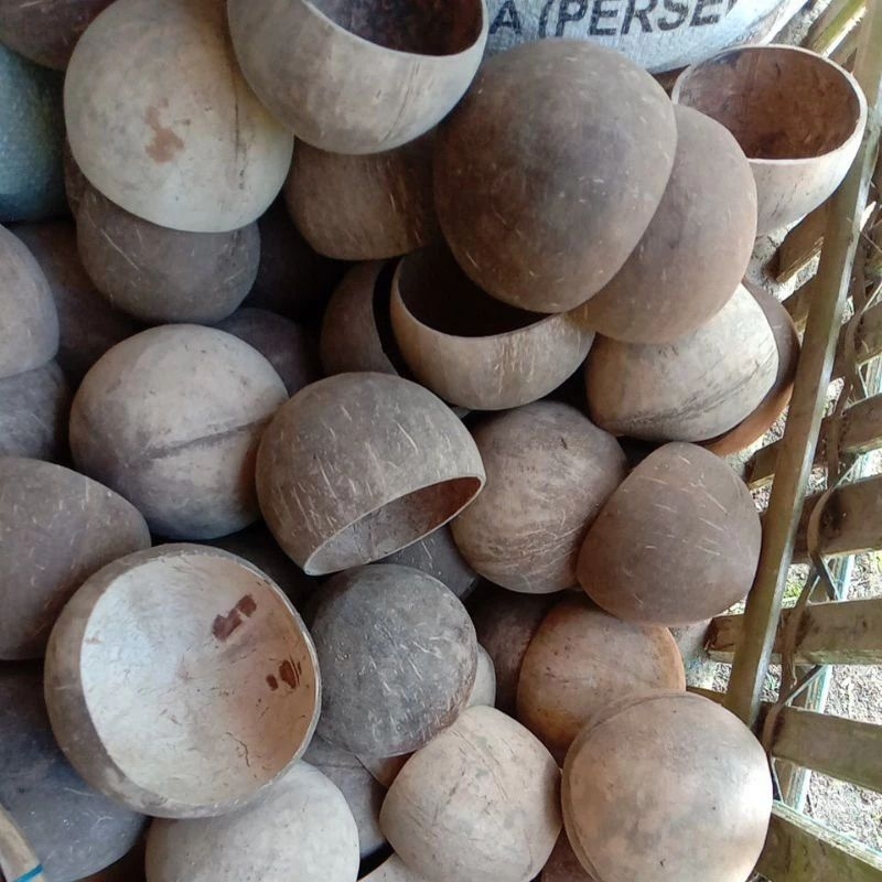 Split coconut shell, craft materials, natural and polished shell ...
