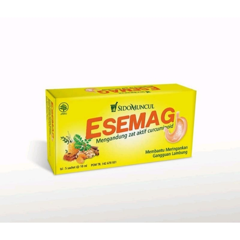 Liquid ESEMAG 1 Box 5 Sachets @ 10ml - Stomach Pain Ulcers | Shopee ...