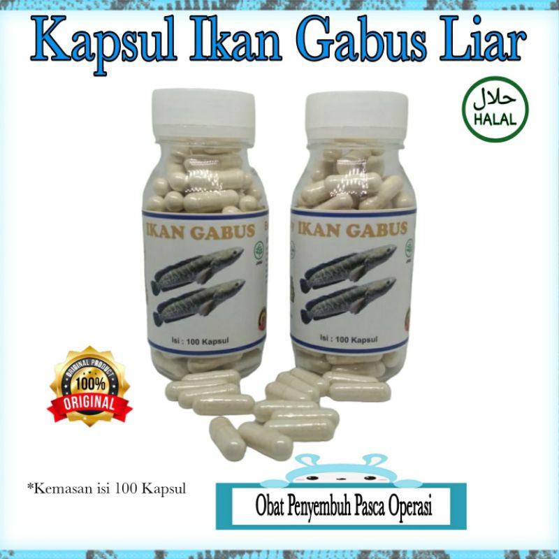 Snakehead Fish Extract contains 100 capsules | Shopee Malaysia