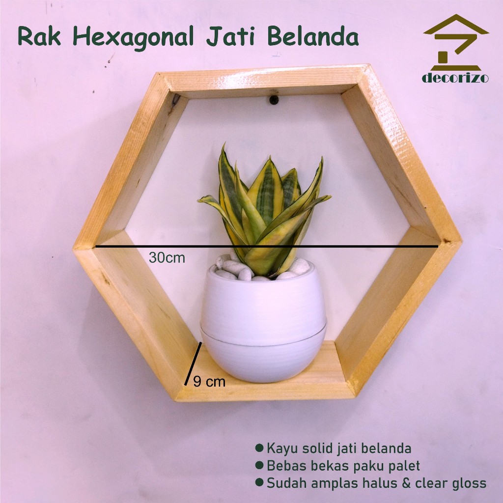 KAYU Dutch Teak hexagonal Wood Shelf RAHEX Hexagon Wasp Display Rack ...