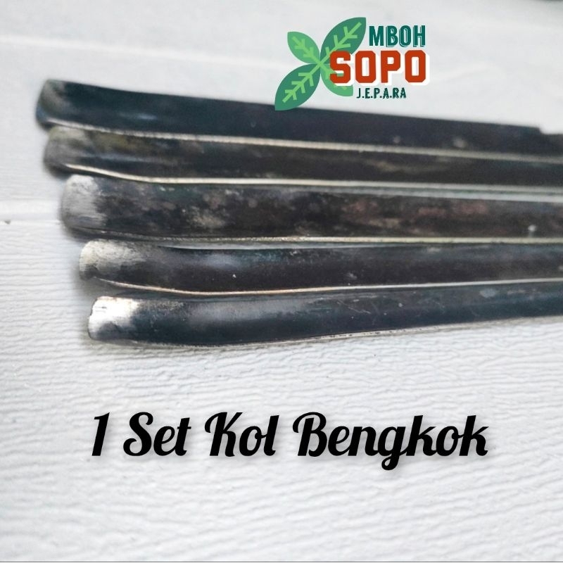 KAYU Jepara Wood Carving Chisel, Bent Cabbage Inlay, 5pcs | Shopee Malaysia