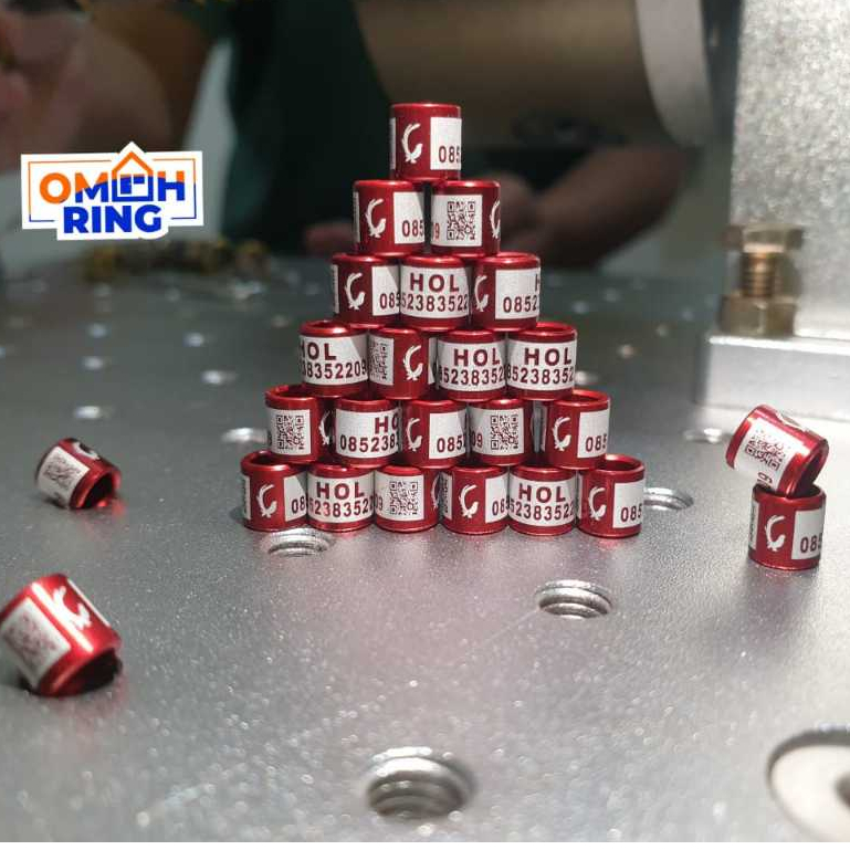 Kosba Barcode Winner Bird Ring+Bird Logo | Omah Ring | Pigeon ...