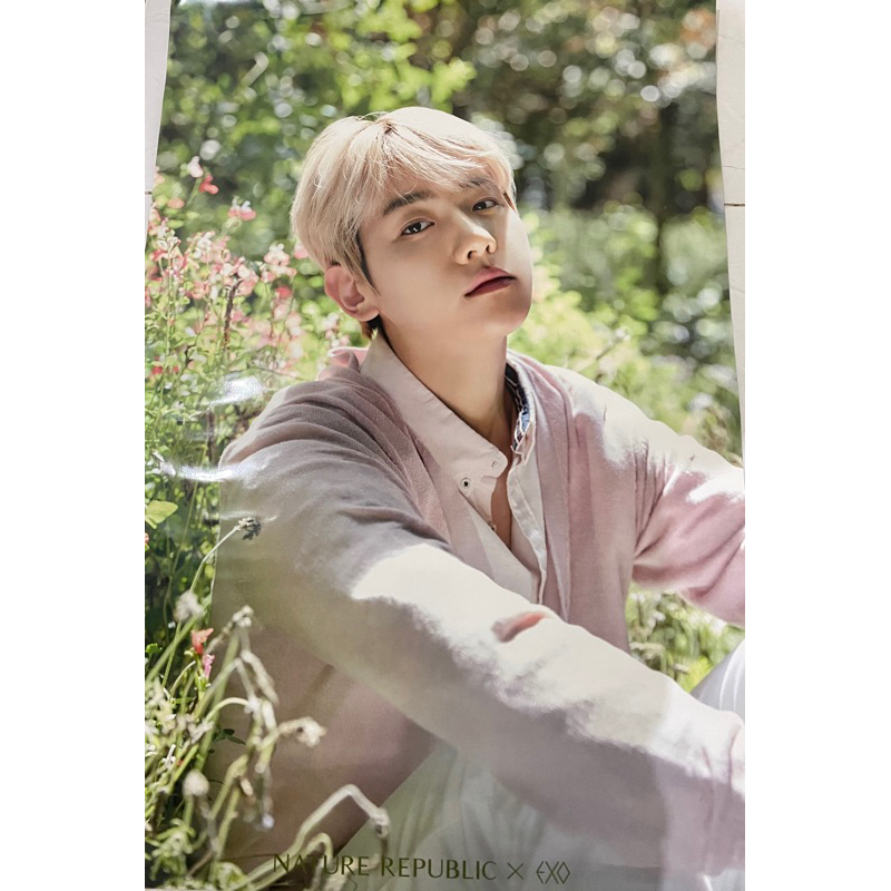 Exo BAEKHYUN1 - BAEKHYUN BAMBI, CHEMISTRY DELIGHT, OBSESSION, DFTF ...