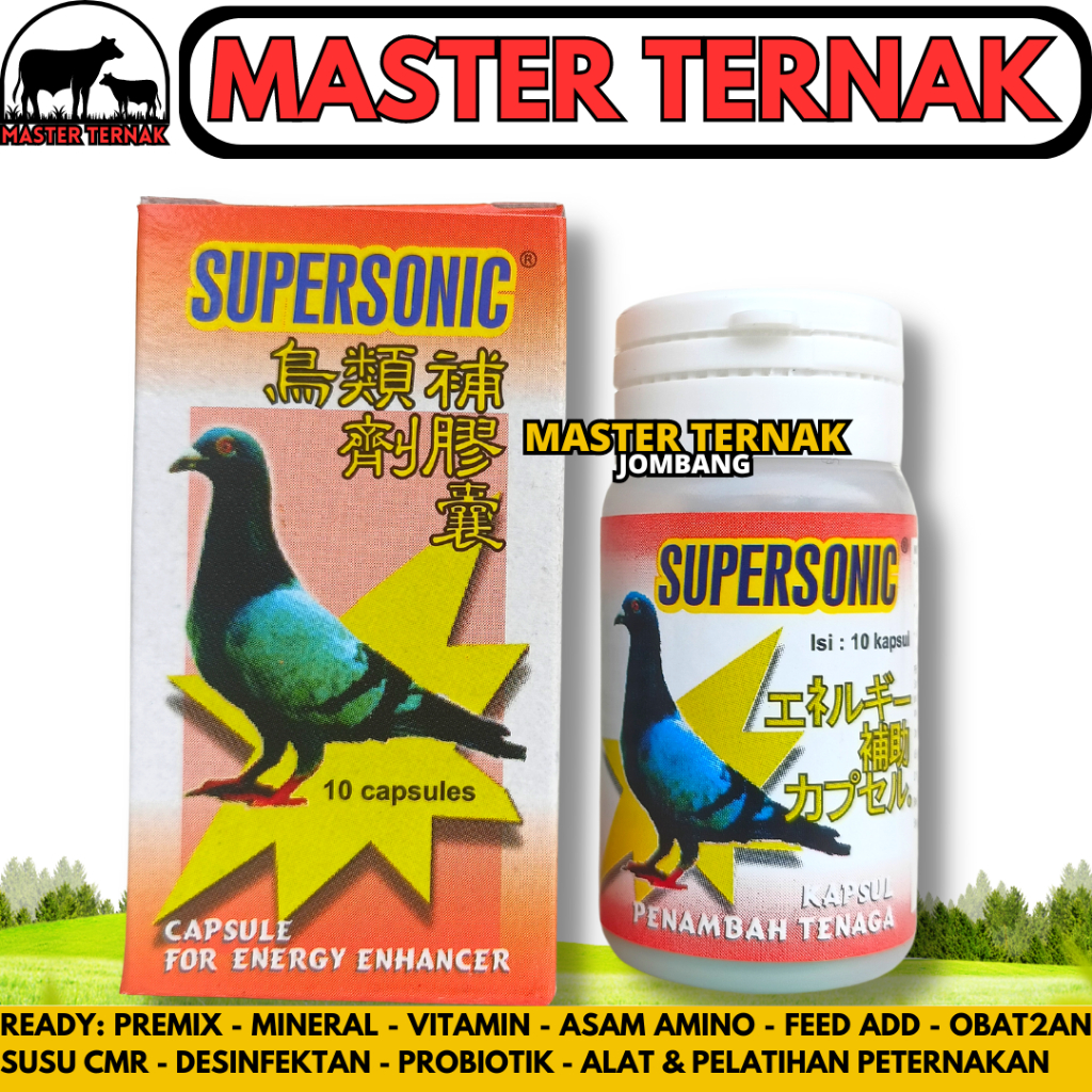Supersonic 1 Bottle (10 CAPSULES) - Herbal Pigeon to Increase Energy ...