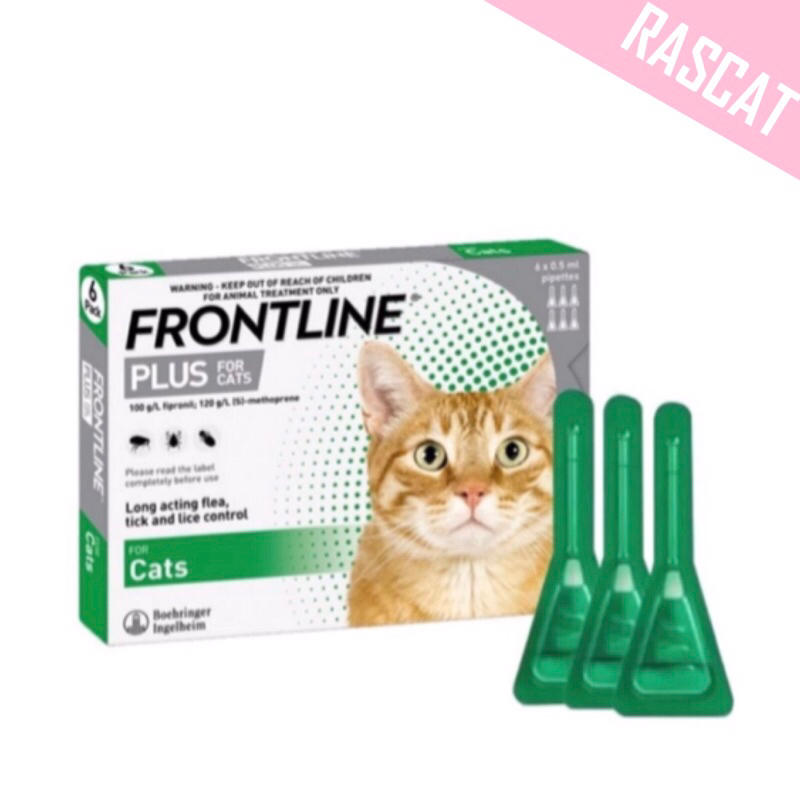 Frontline Plus Cat Flea Medicine 1 Tube | Shopee Malaysia