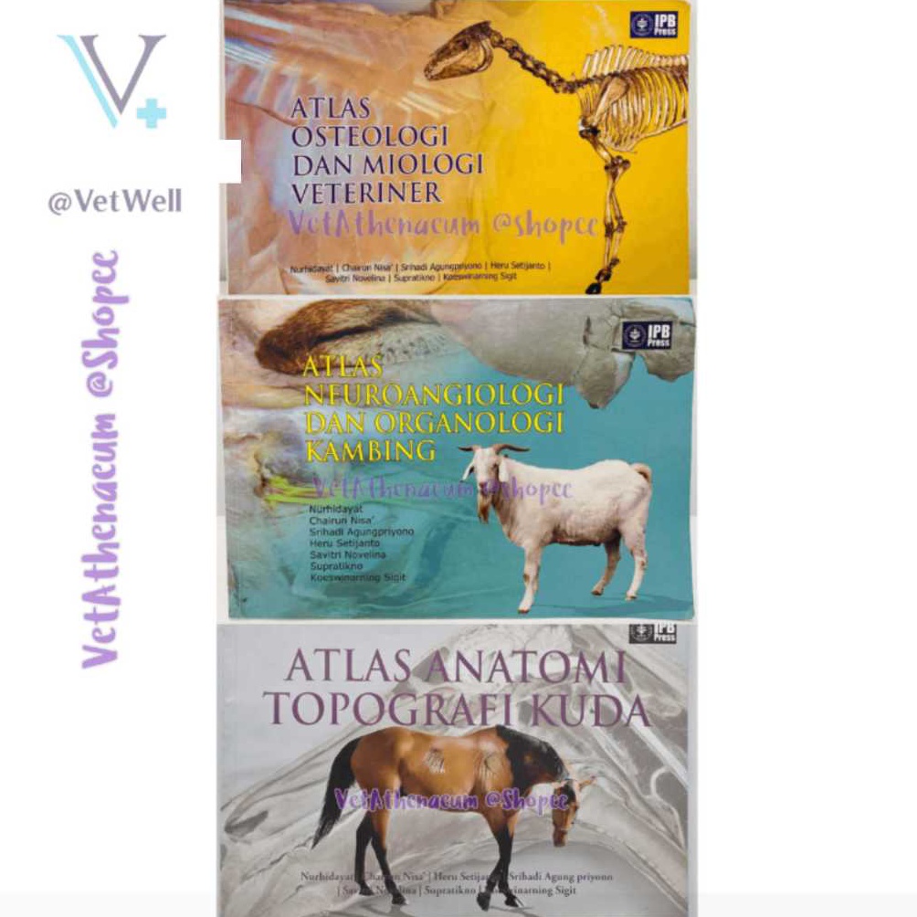Code F6F3 Animal Anatomy Atlas Veterinary Anatomy Atlas | Shopee Malaysia
