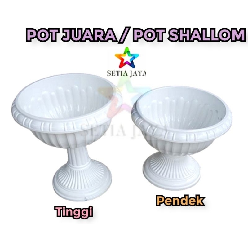 CHAMPION POT / SHALOOM FLOWER POT FOR HIGH & SHORT NECK THICK QUALITY ...