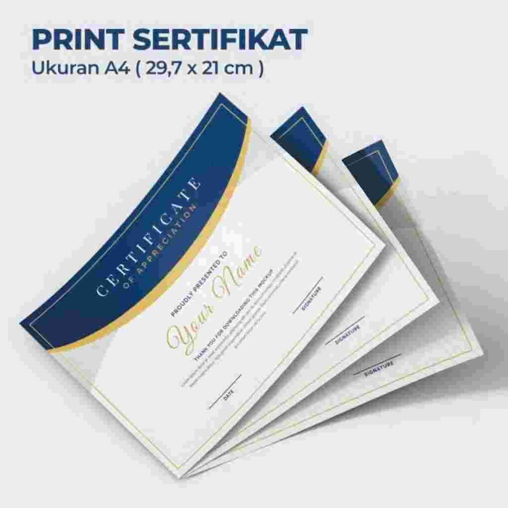 Print 1-sided 2-sided Custom Charter Certificate | Print/ PRINT/ PRINT ...