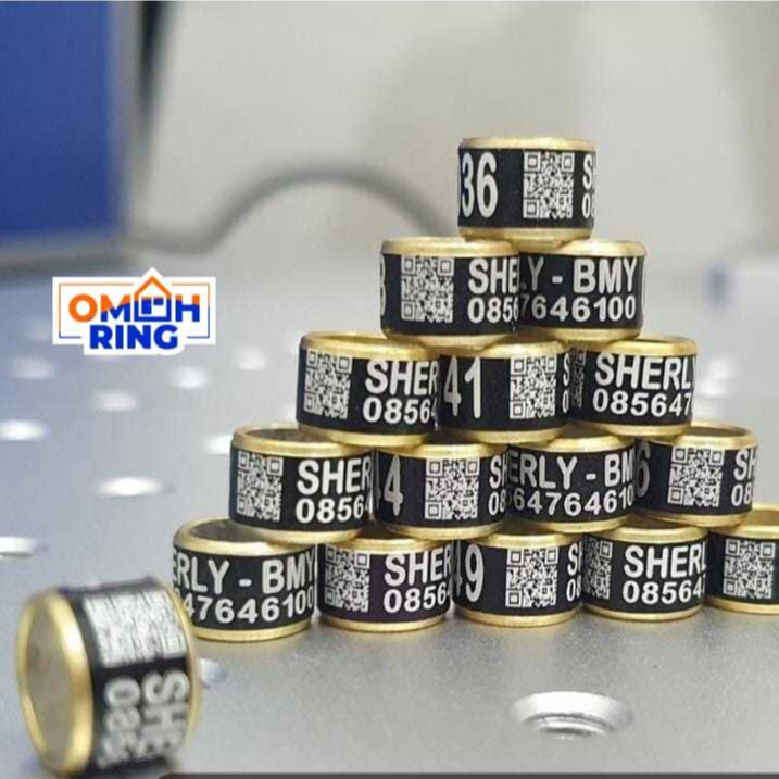 Bird Ring | Barcode Model Guaranteed To Work Well (Guarantee) | Pigeon ...