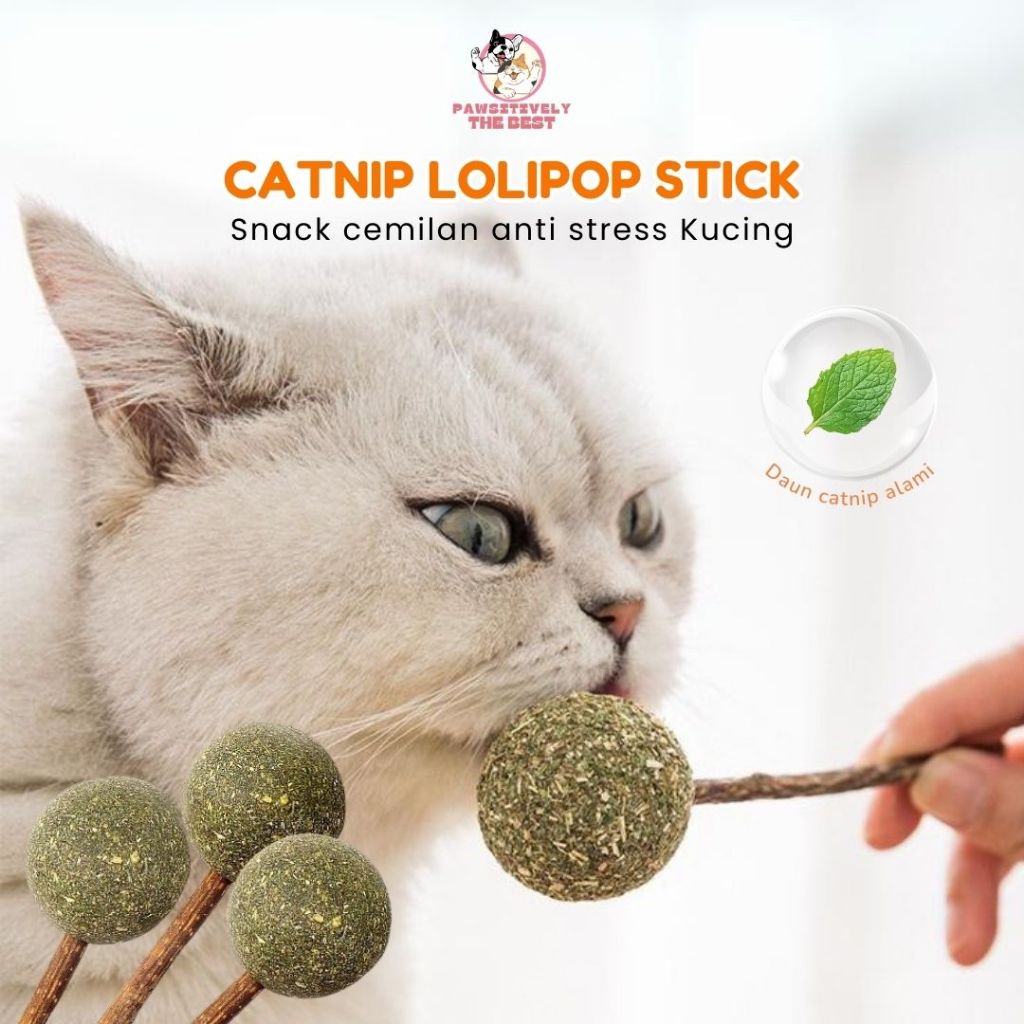 Lollipop Stick From Catnip For Cat Cat Snack Cat Snack Cat Snack