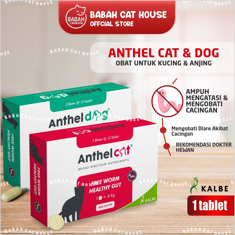 ANTHEL Worm Medicine for Cats Dogs Cat Dog Tablets Effective for ...