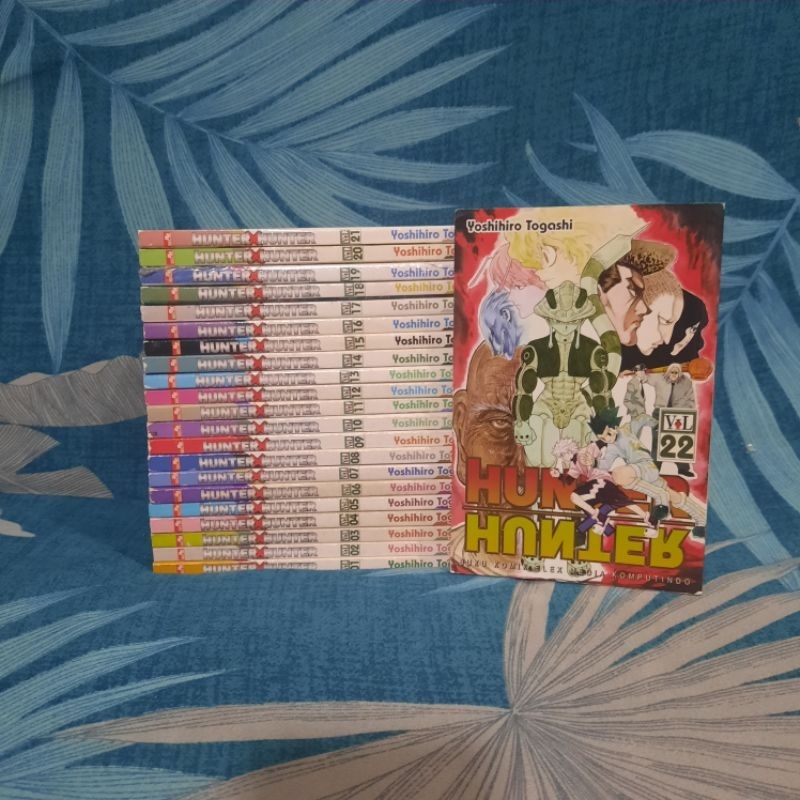 Hunter X Hunter Vol 1-22 HxH Comic Package Full Set Full Set Full Set ...