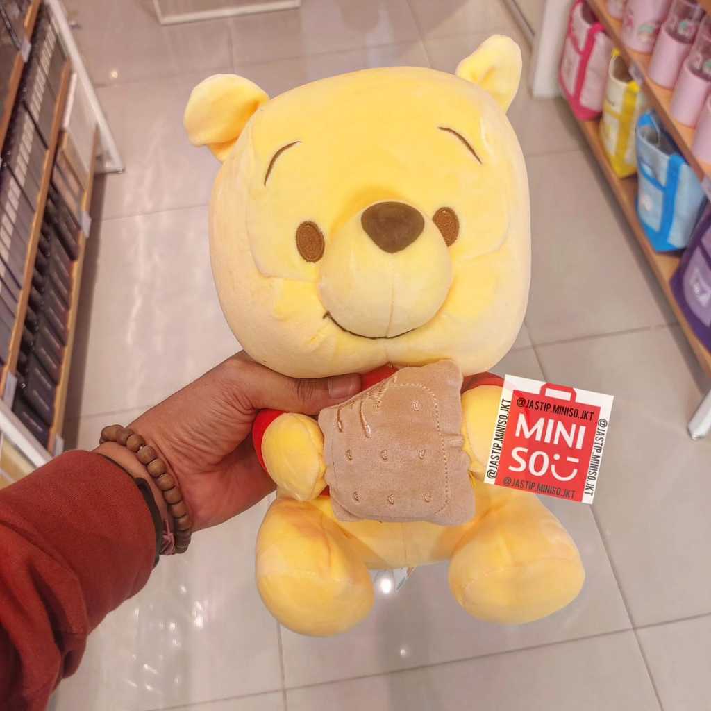 Miniso DISNEY Doll WINNIE the Pooh Sitting aith Honey Biscuit (26cm ...