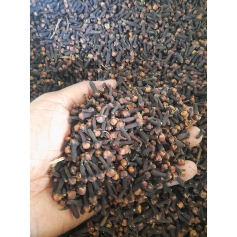 Original dried cloves 100 grams | Shopee Malaysia
