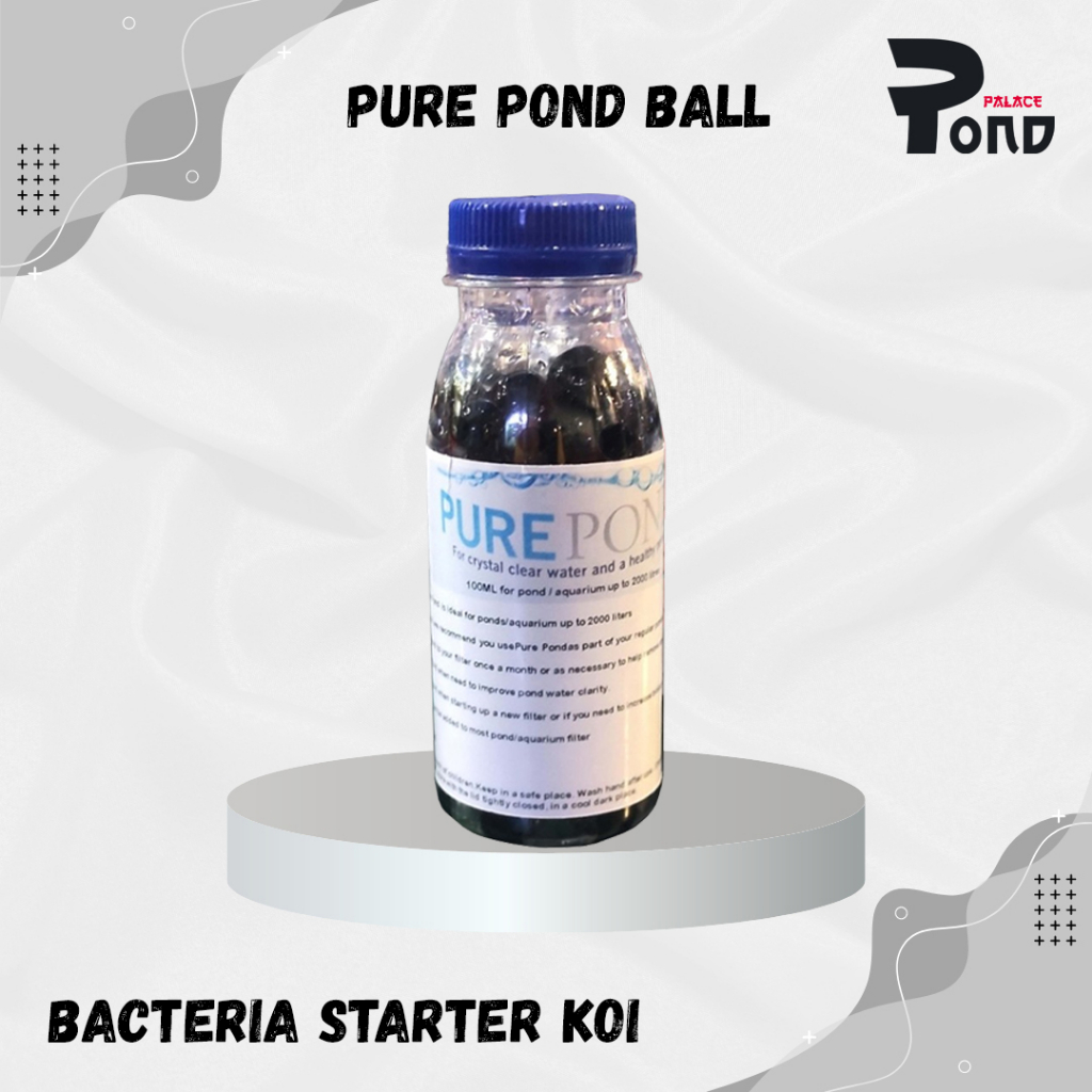 Crystal Pond Bacteria Koi Pond Bomb 100ml Pure Bomb Bacteria Pool ...
