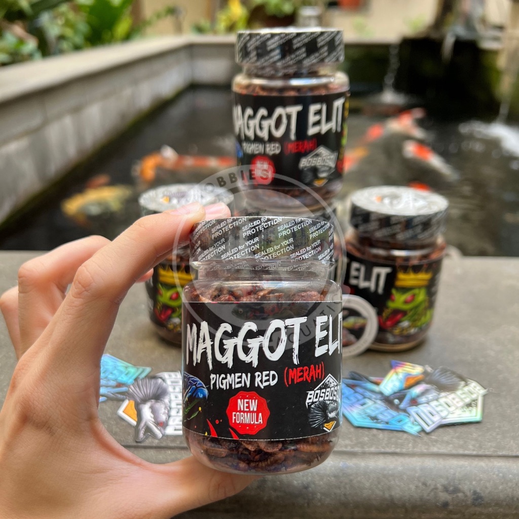 MERAH Maggot Elite // Progress Red/ORANGE Color For Contest (NEW ...