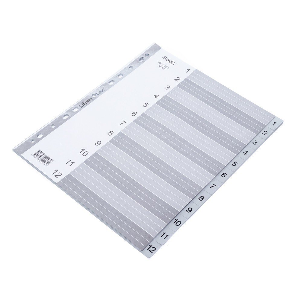 Bantex Divider Binder Ordner A4 12 Sheet Index Numeric 6222 | Shopee ...