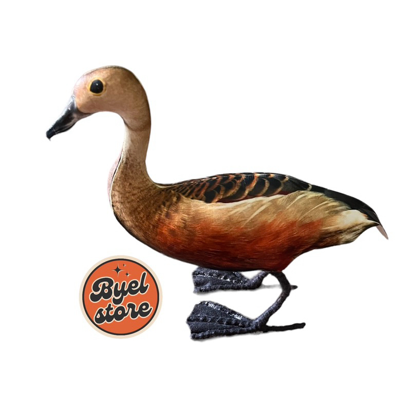 Jontrot Belibis Bird Flower - Belibis Bird Decoy Statue | Shopee Malaysia