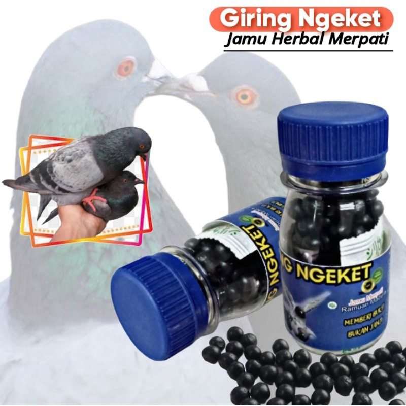 HITAM Jamu MERPATI Sleigh NGEKET Contents 100 Black Pills To Boost b ...