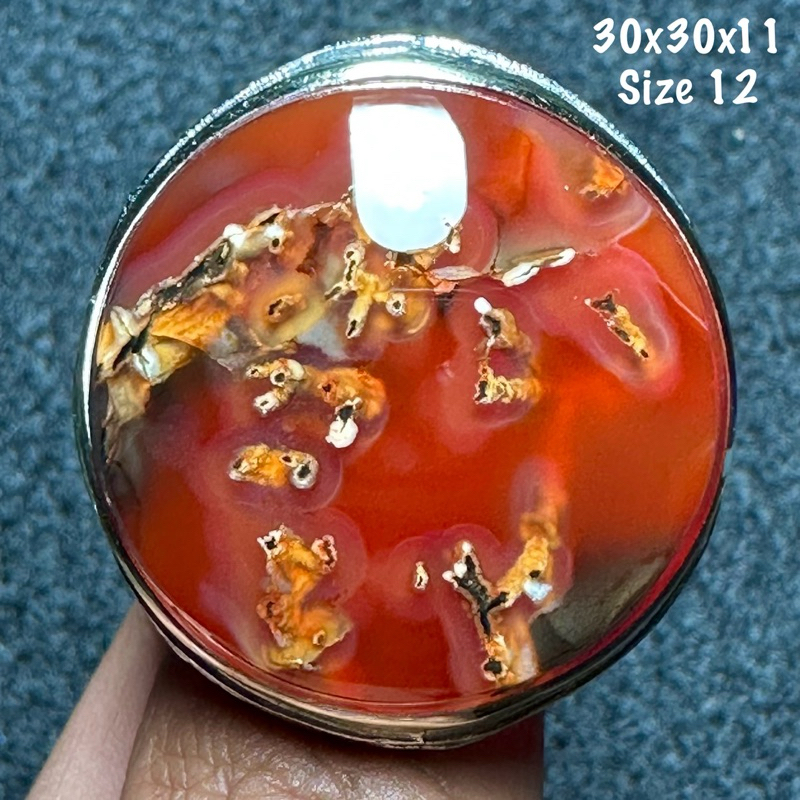 MERAH Natural Denrite Red Coral Agate Ring 3D Jumbo Crystal (Original ...