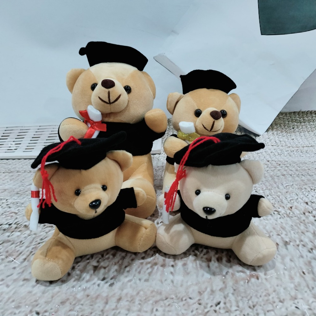 Teddy Bear Graduation Doll - Graduation Teddy Bear - Graduation Doll ...