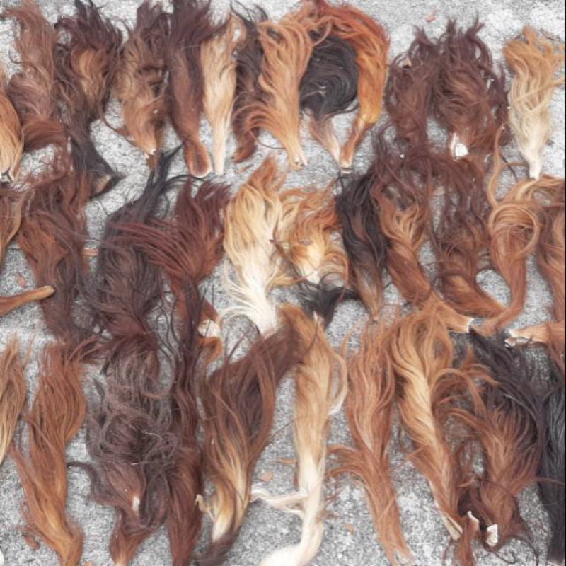 BROWN COLOR FOR VAGINAL DISCHARGE, COW TAILS, BAHAH CRAFTS, ALREADY ...