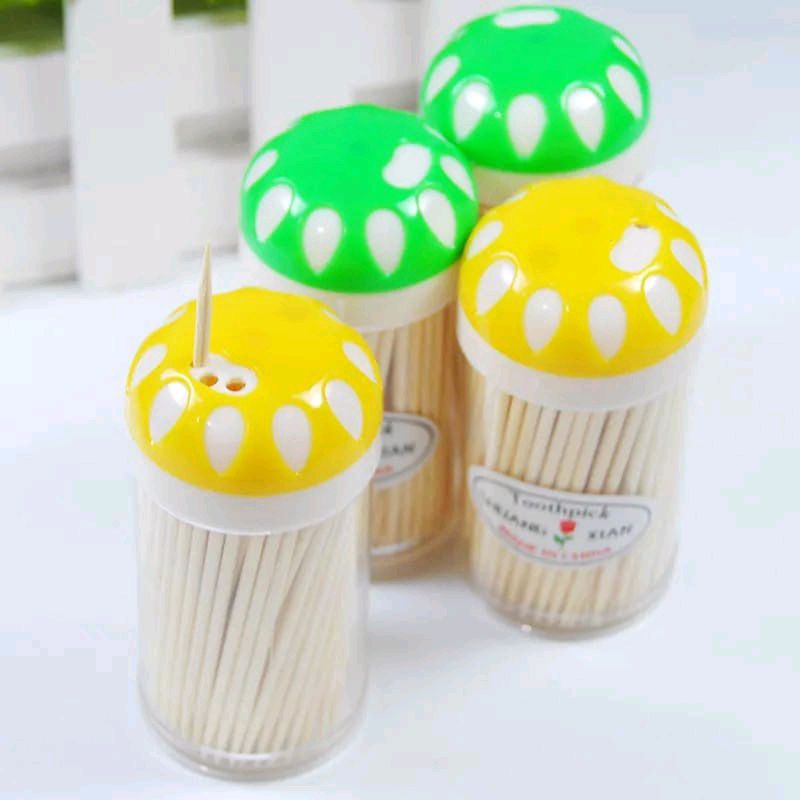 Travel Bamboo Toothpicks / portable toothpicks | Cunvalla | Shopee Malaysia