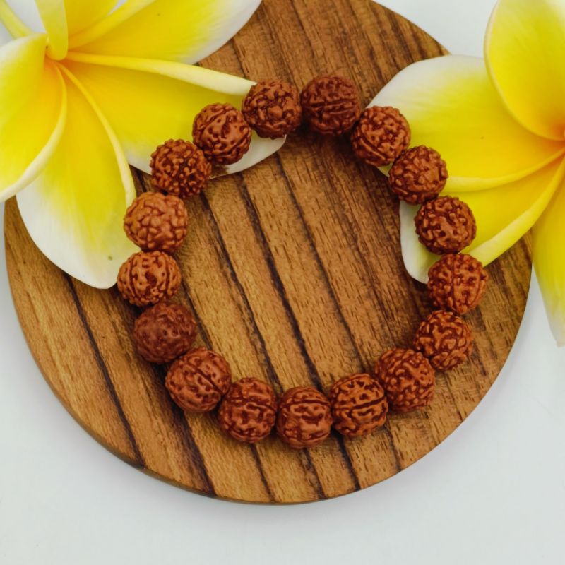 Original Balinese Genitri Rudraksha Bracelet | Shopee Malaysia