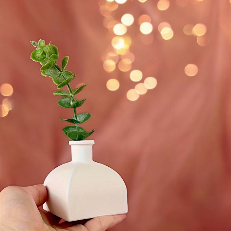 Concentrate Flower Vase Aesthetic Box Jar / Nordic Vase / Product Photo ...