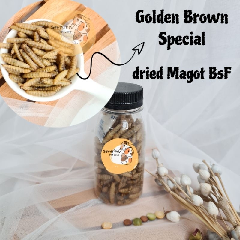 60ML Organic Dried Magot Bsf | Dry maggot food for mini hamster ...