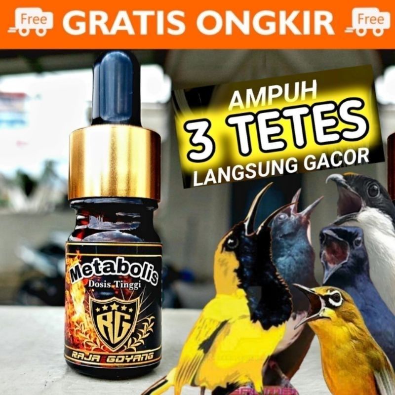 King's METABOLIS HIGH DOSAGE / RG VITAMIN / MOVING BIRD CHIRPING SOGON ...