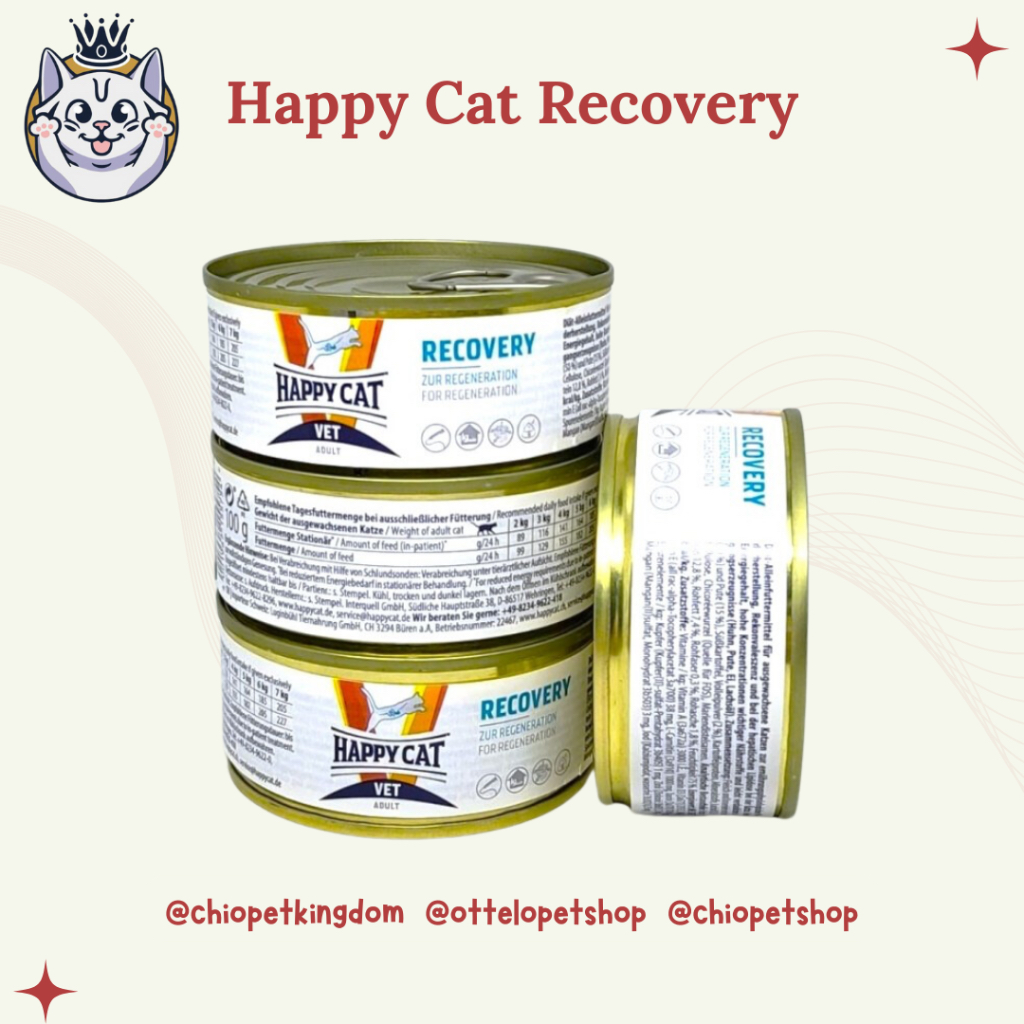 Happy Cat Vet Recovery Wet Food Canned Cat Food 100gr Chio Pet Kingdom ...