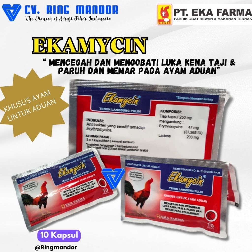 Ekamycin EKA MYCIN 1 SACHET 10 Capsules EKA FARMA Replacement For TEDUN ...