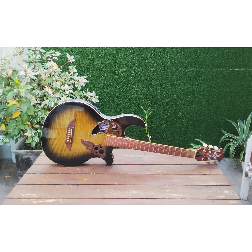 Acoustic Guitar/Electric Acoustic Guitar Blue Line/Electric Guitar ...
