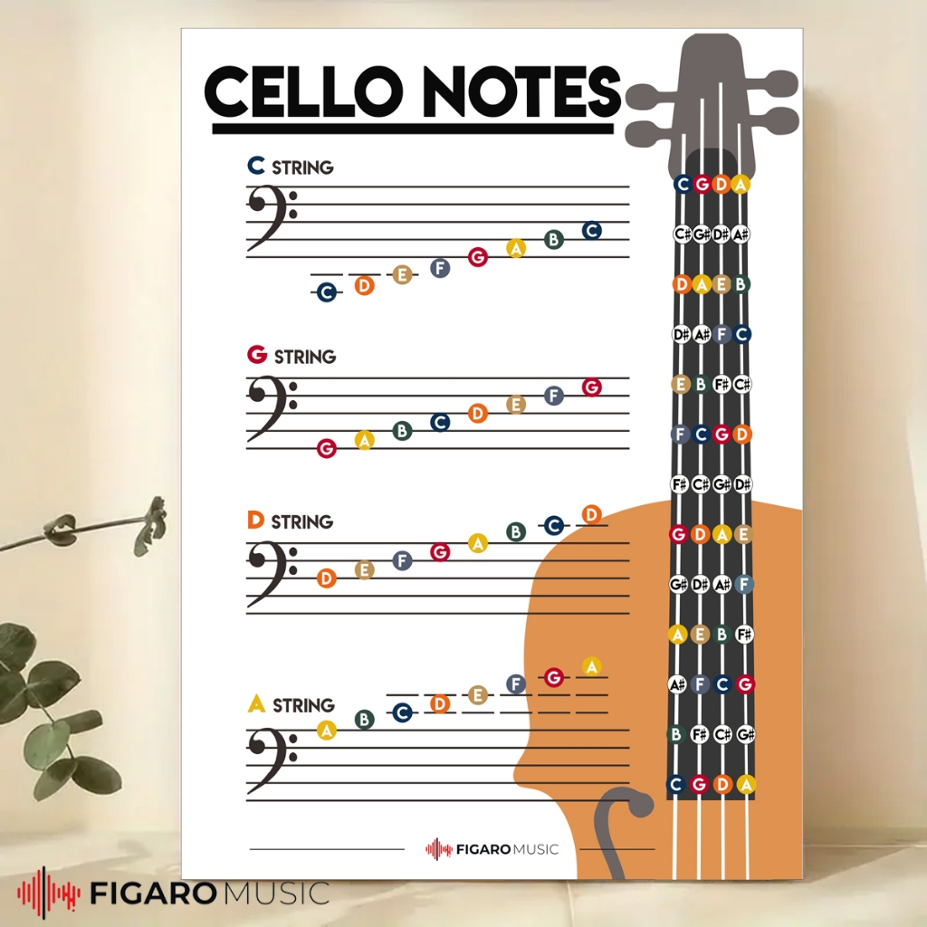 Poster Cello Notes Music Theory Printable Poster. Learn Cello Notes ...