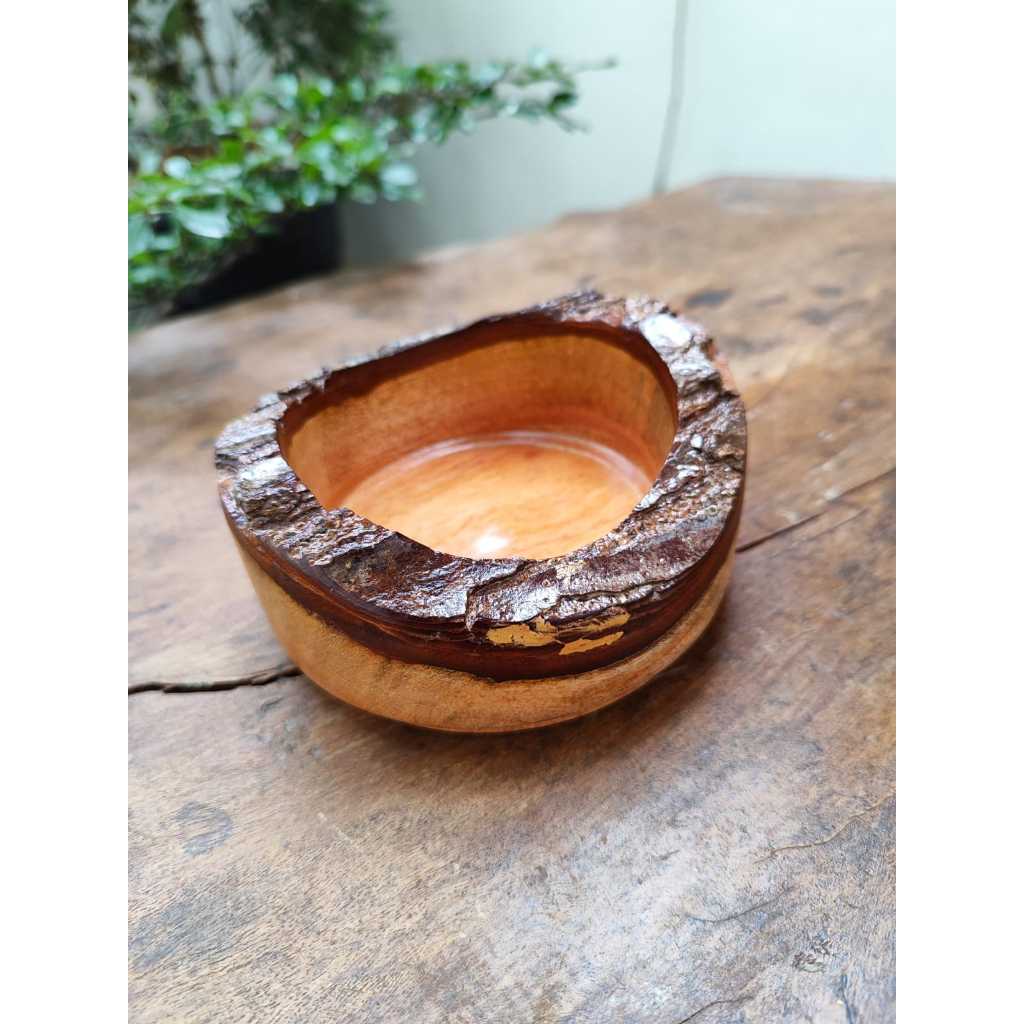 KAYU Aesthetic Mahogany Bark Ashtray/Wooden Ashtray/Asbak From Lake ...