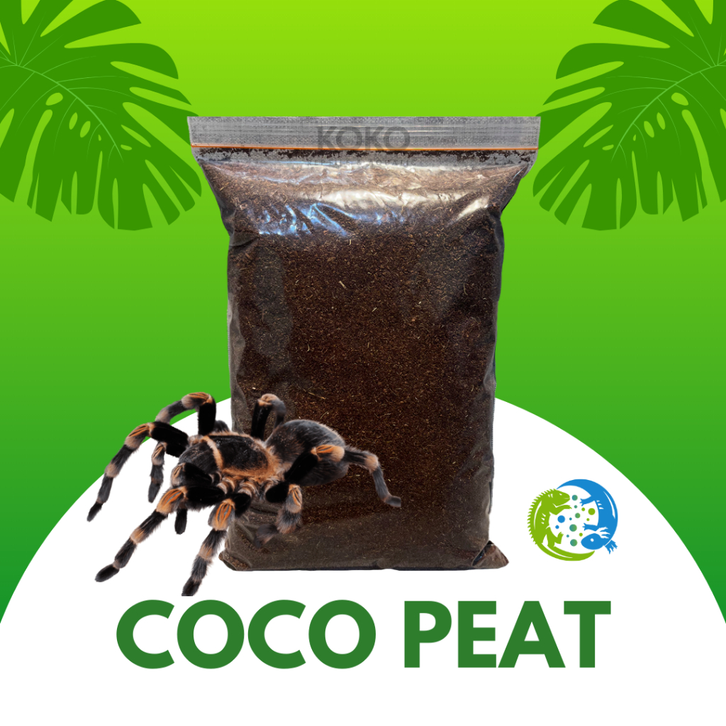 Coco Peat Substrate Reptile Cage Mat 200 grams Grade A Tarantula Pacman ...
