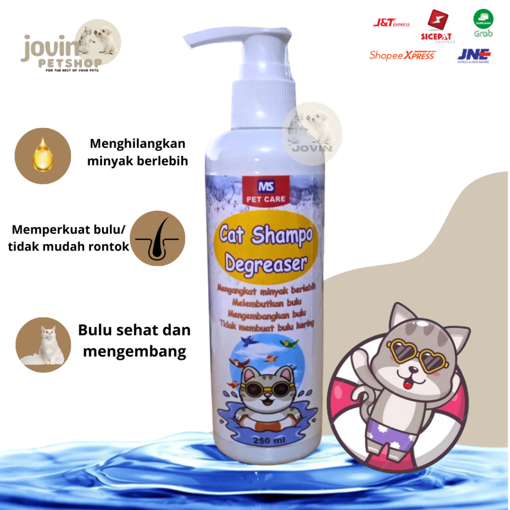 Oil Free Degreaser Shampoo fot Paint 250ml | Shopee Malaysia