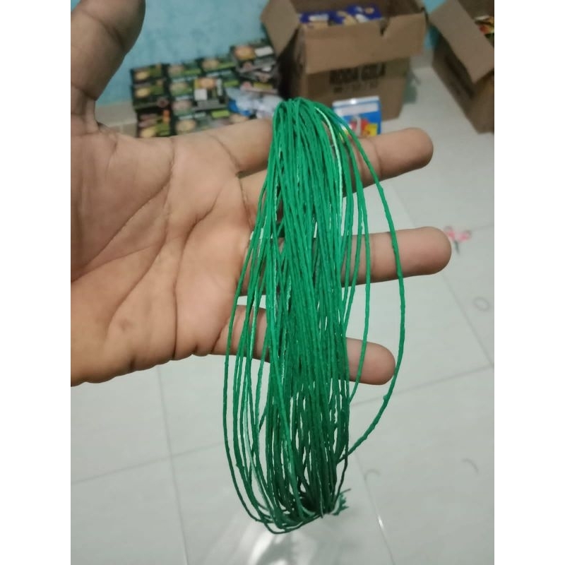 HIJAU Green Axis (2 Meters) | Shopee Malaysia