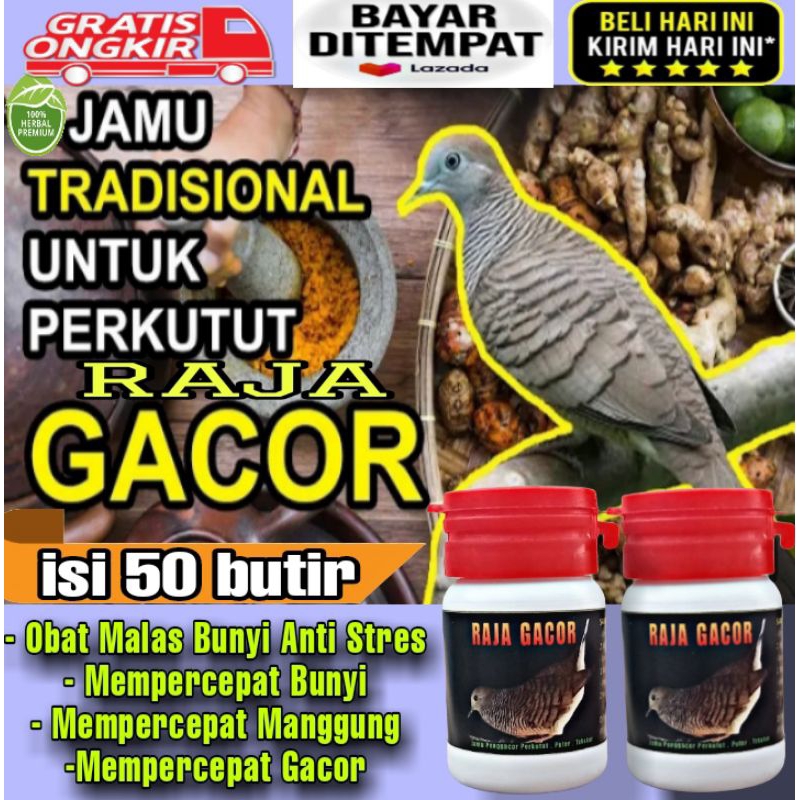 LOKAL Jamu RAJA RAJA 50 Pills Lazy Medicine super Sound jago Perform ...