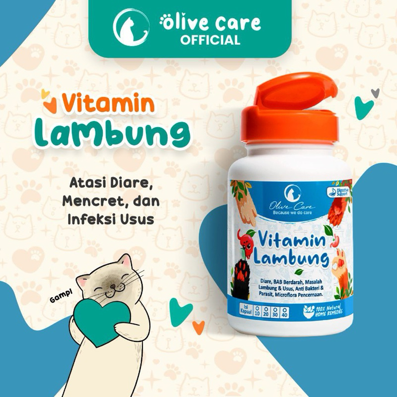 Olive Care Cat Vitamins DIGESTIVE PROBLEMS for Diarrhea, Diarrhea ...