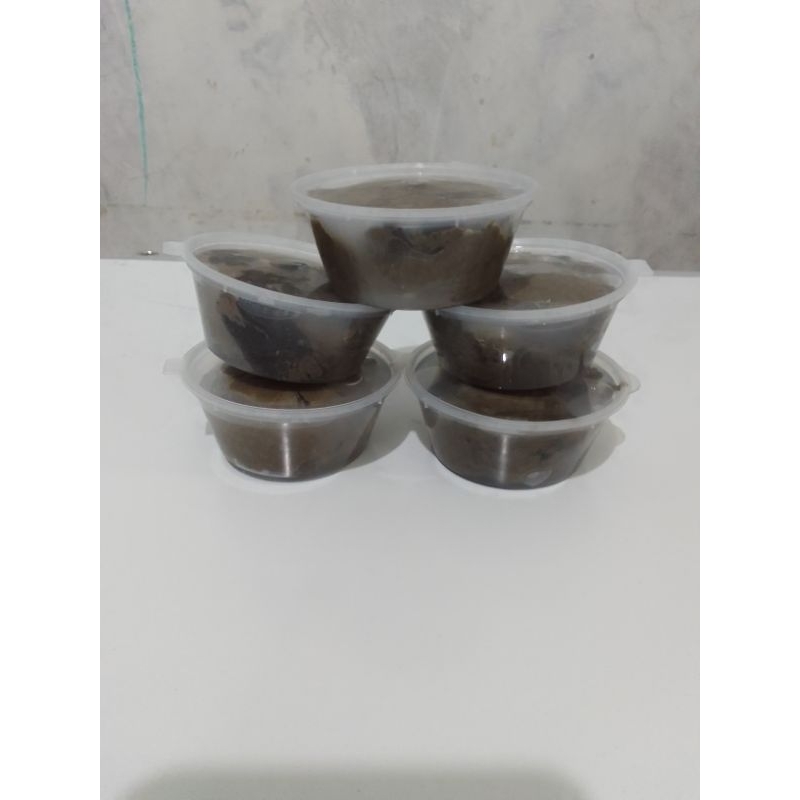 Original super sticky bird pulp | Shopee Malaysia